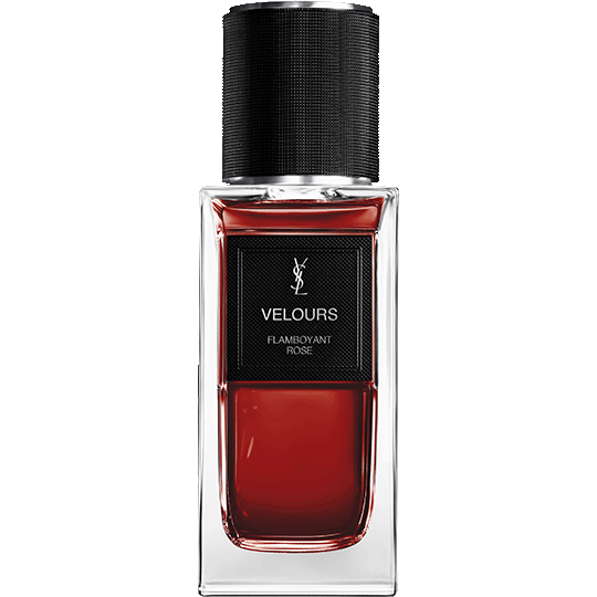Velours Eau de Parfum · Rose Flamboyante - Patchouli | Yves Saint ...